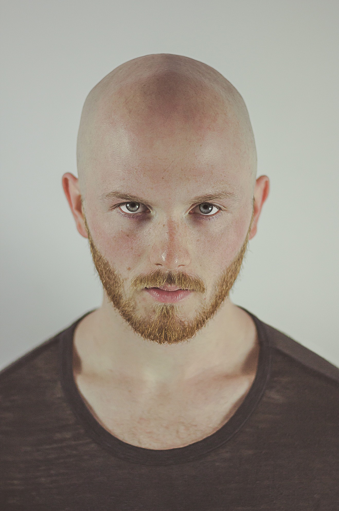 Alexandre Morin - La Rotonde